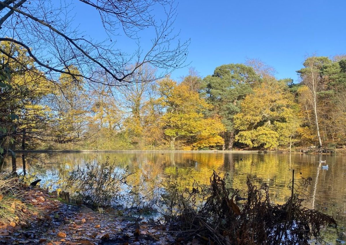 Keston Common Walk | Calendar | Alleyn's School